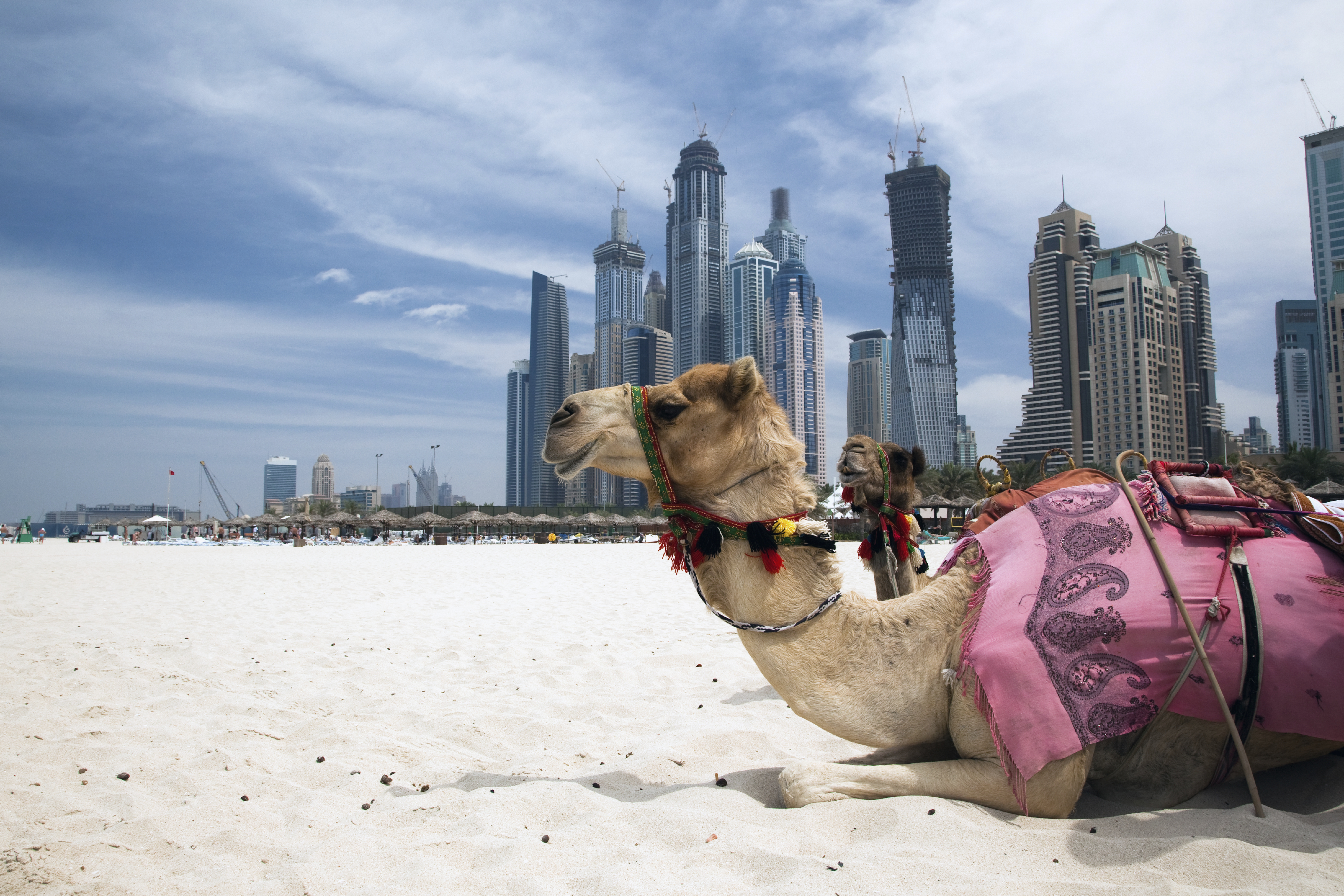Rouse - The United States of America has dropped the UAE from its watchlist