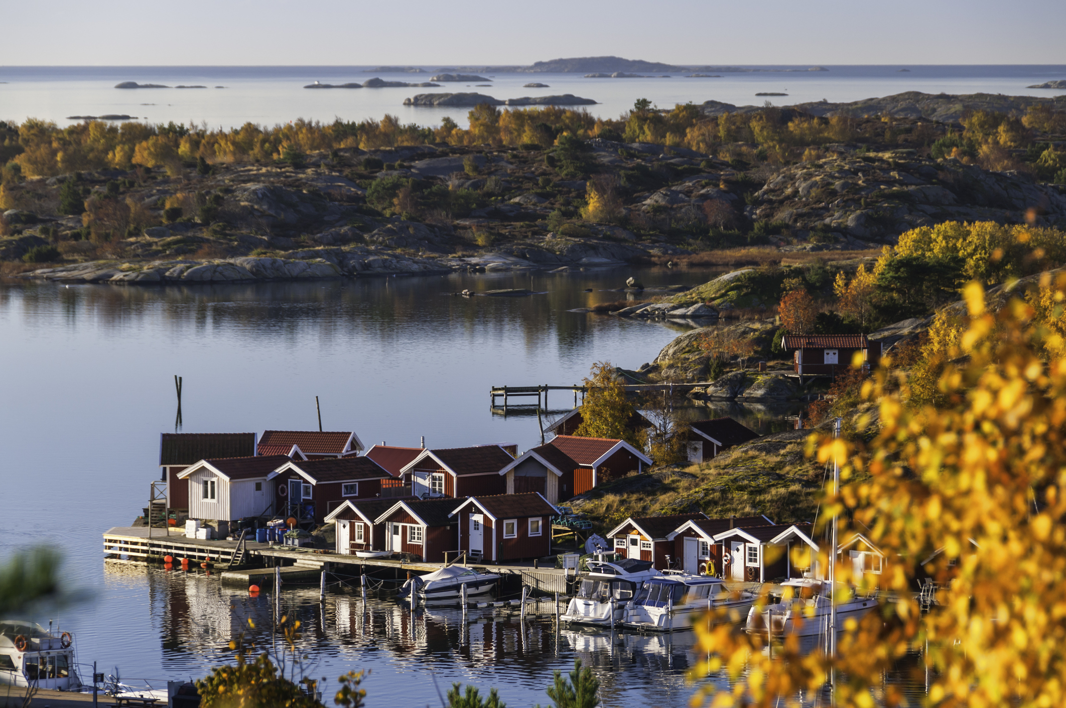 Rouse - Social media in Sweden: what brand owners need to know